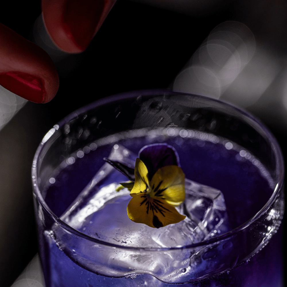 Spring Sips at Santini Bar: Unveiling the Butterfly Pea G&T | QT Perth