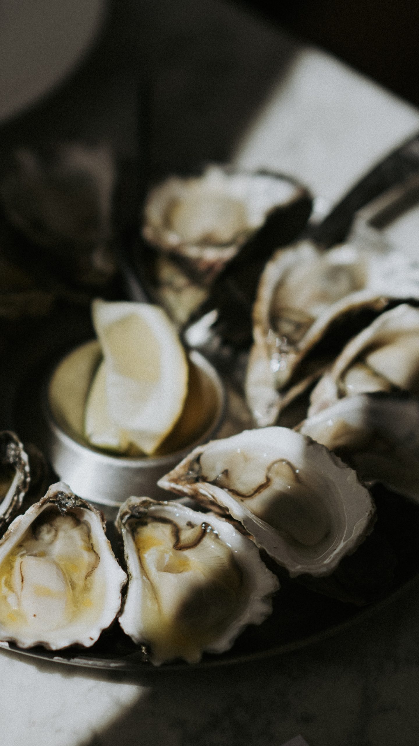 The King of Oysters: An Exclusive Interview with Jerry Fraser | QT Perth